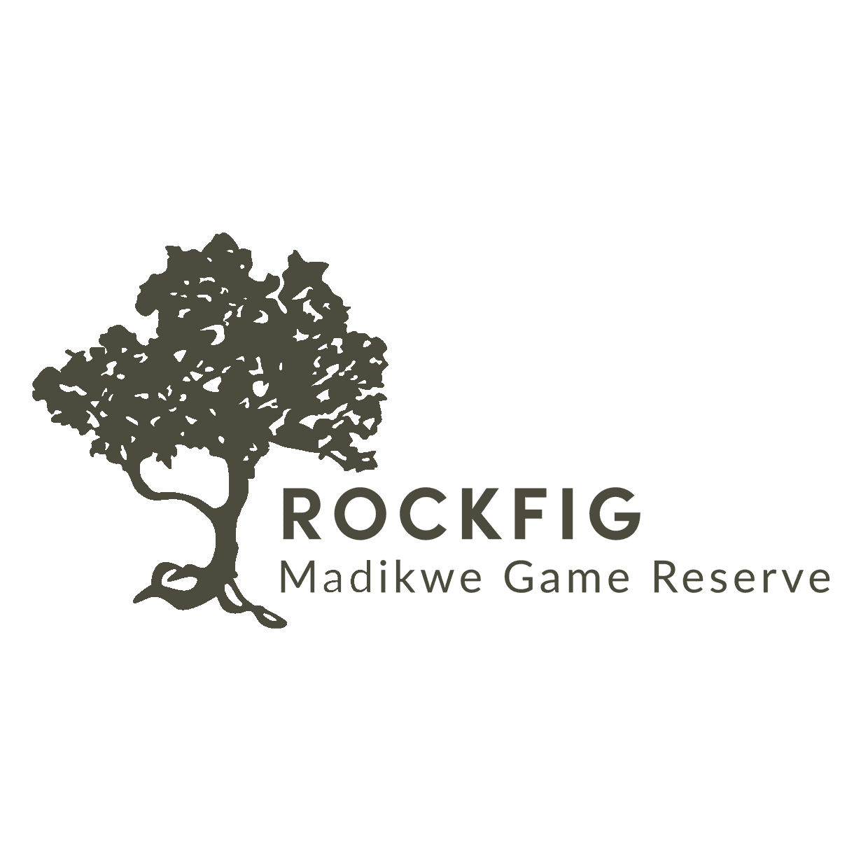 Jaci's Private Lodge - Madikwe Game Reserve